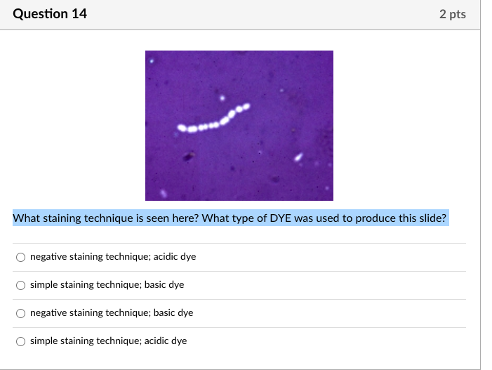 Solved What staining technique is seen here? What type of | Chegg.com Solved What staining technique is seen here? What type of | Chegg.com