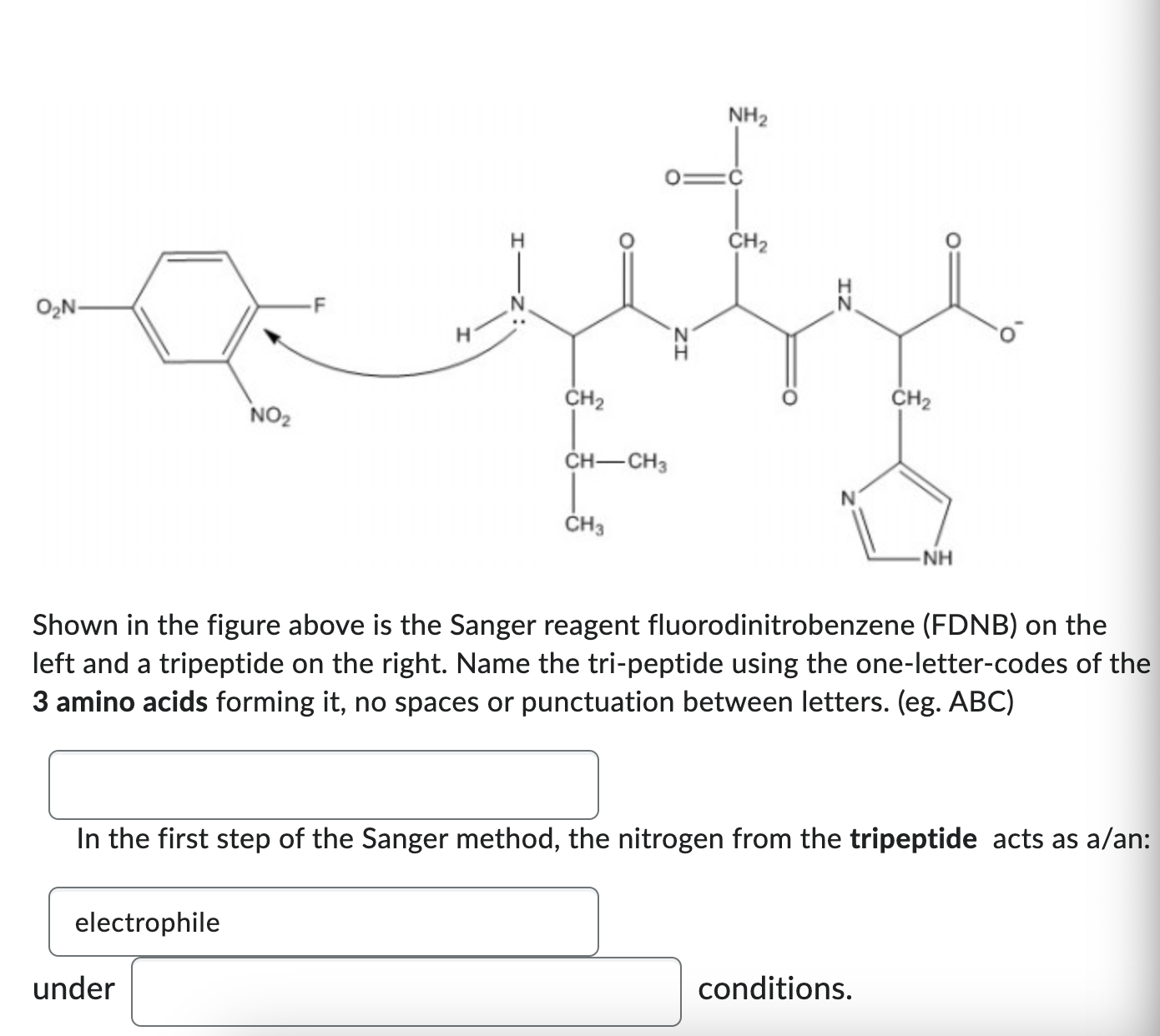 Solved Shown in the figure above is the Sanger reagent | Chegg.com