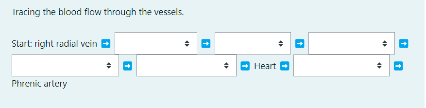 Solved Tracing the blood flow through the vessels. | Chegg.com
