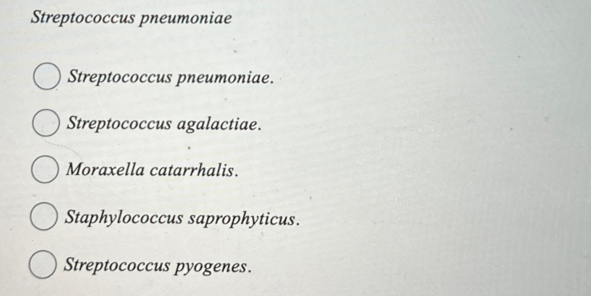 Solved Streptococcus pneumoniaeStreptococcus | Chegg.com