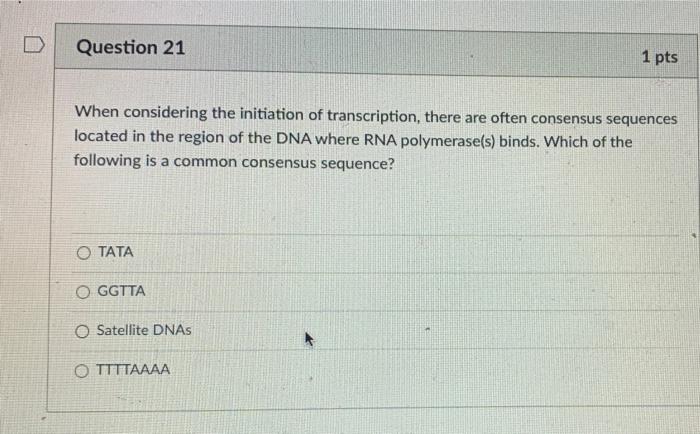 Solved Question 21 1 pts When considering the initiation of | Chegg.com