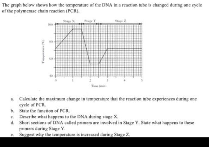 Solved The graph below shows how the temperature of the DNA | Chegg.com