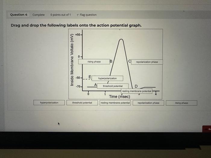 Solved Drag and drop the following labels onto the action | Chegg.com