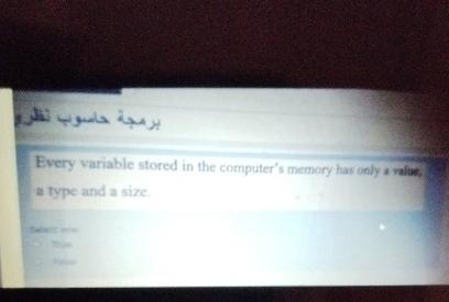 Solved Every variable stored in the computer's memary has | Chegg.com