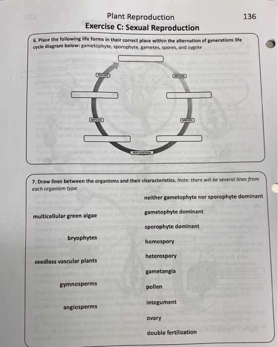 Solved Plant Reproduction 136 Exercise C: Sexual | Chegg.com