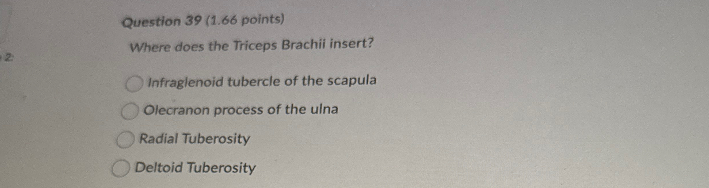 Solved Question 39 (1.66 ﻿points)Where does the Triceps | Chegg.com