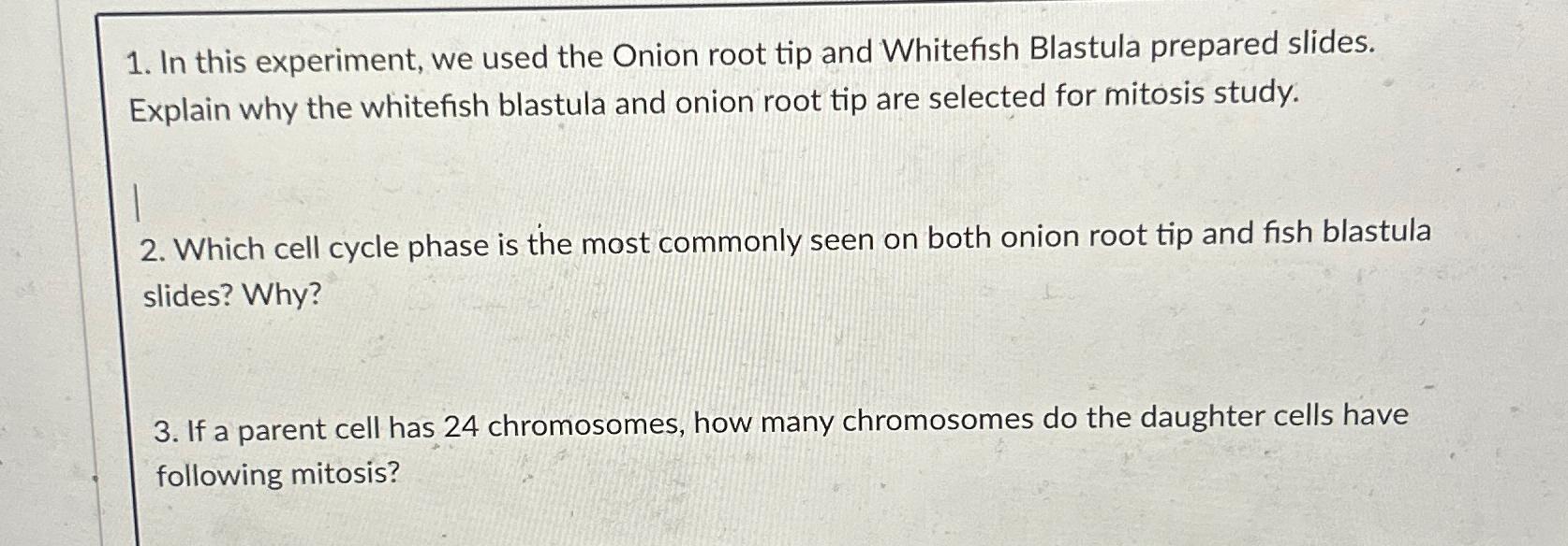 Solved In this experiment, we used the Onion root tip and | Chegg.com
