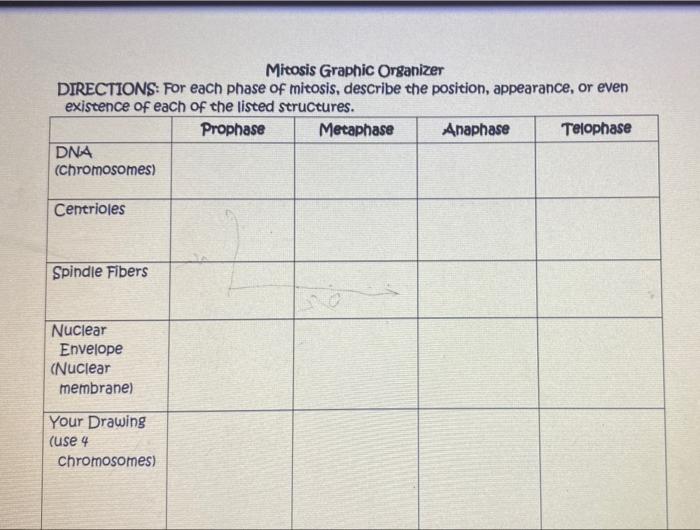Solved Cell Cycle Graphic Organizer Inter Phase Graphic | Chegg.com