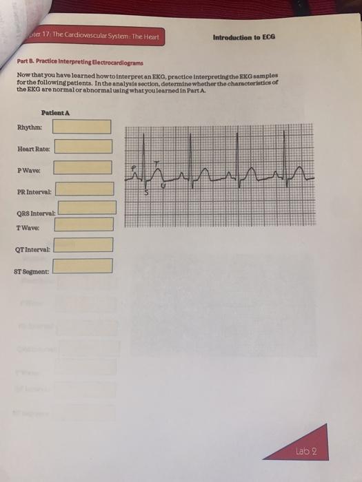 Solved per 17: The Cardiovascular System: The Heart | Chegg.com