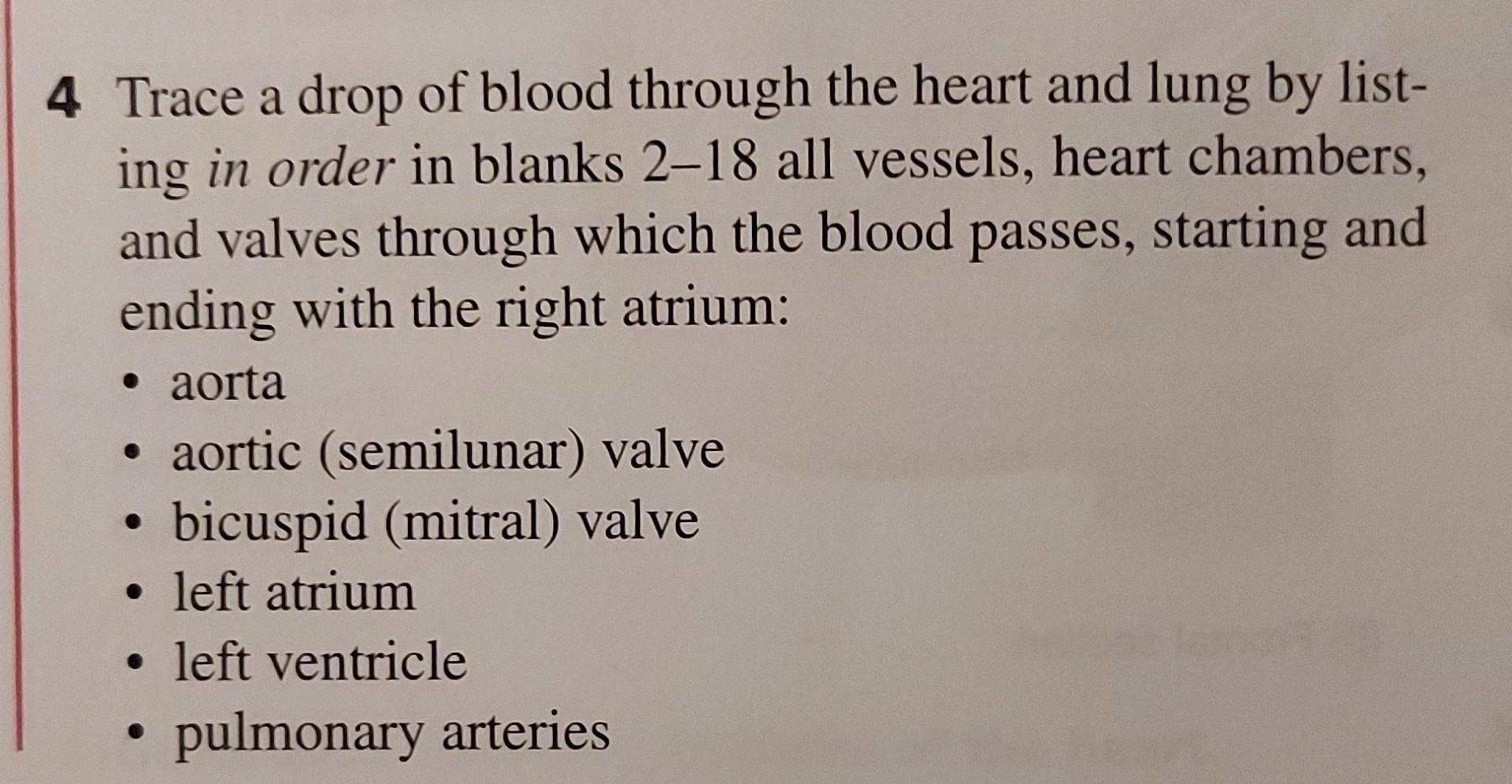 Solved 4 Trace a drop of blood through the heart and lung by | Chegg.com