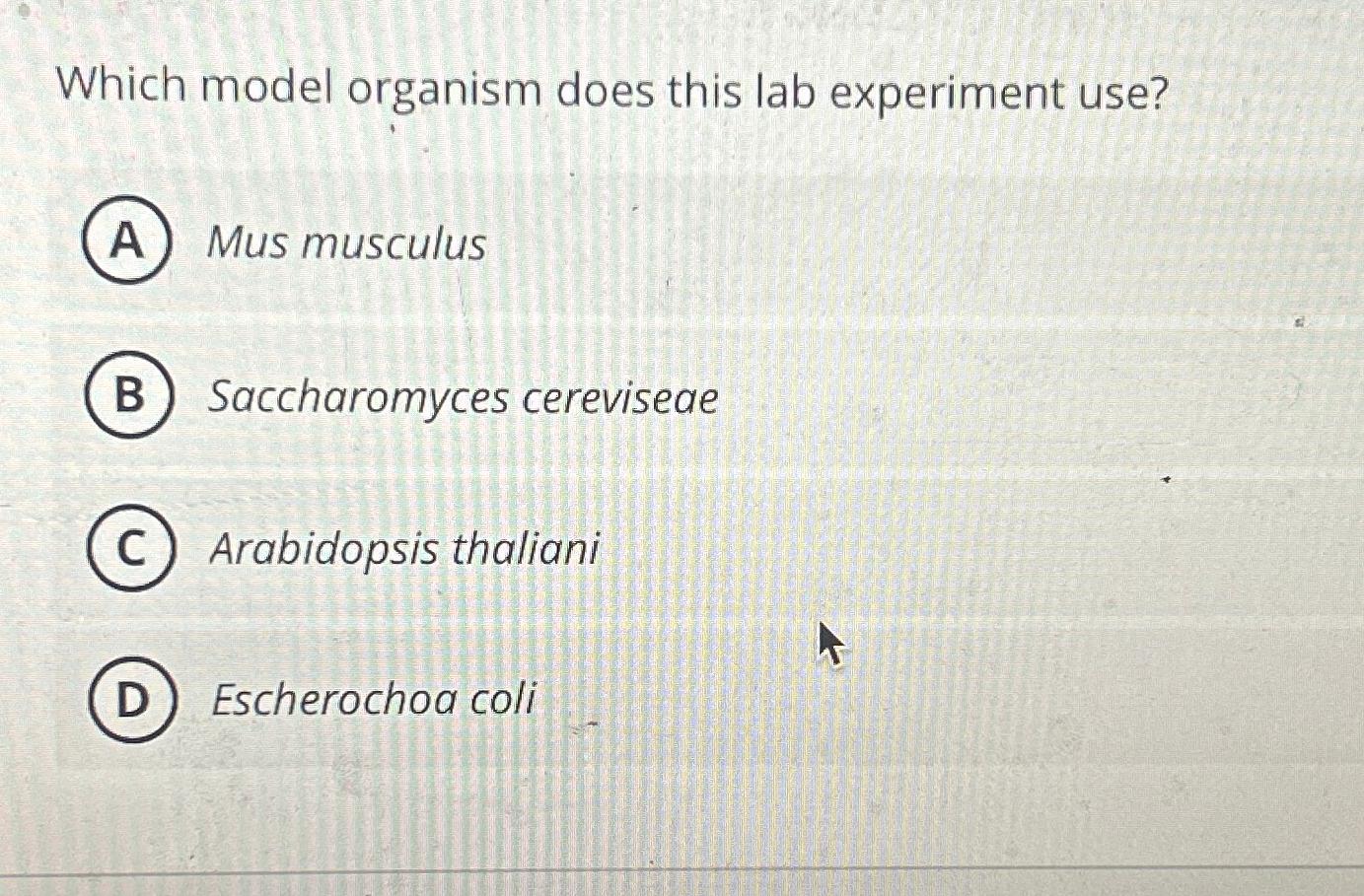 Solved Which model organism does this lab experiment use?Mus | Chegg.com