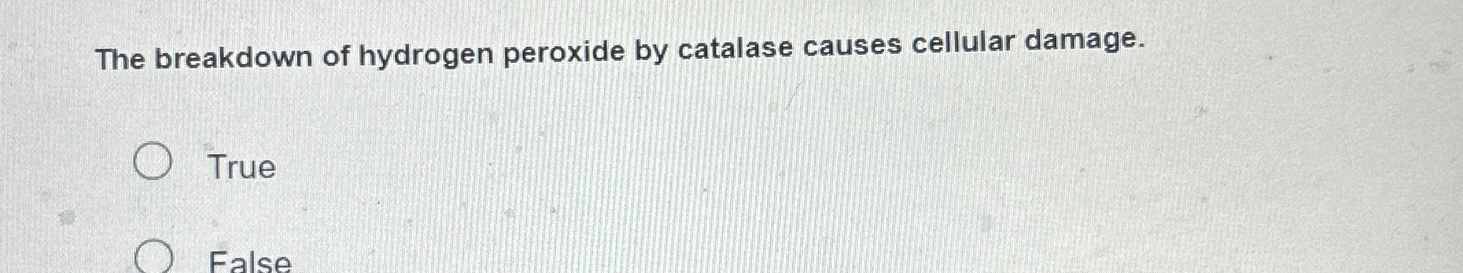 Solved The breakdown of hydrogen peroxide by catalase causes | Chegg.com