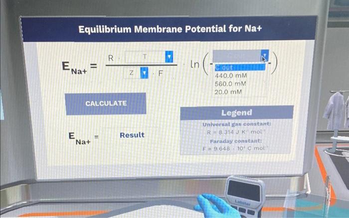 Solved Equilibrium Membrane Potential for Na+Equilibrium | Chegg.com
