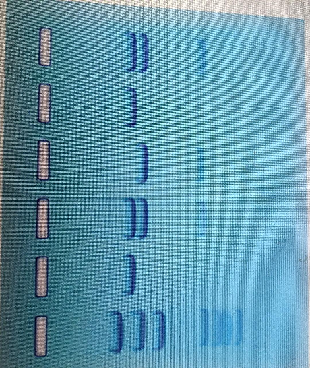 Solved Module II: Staining Agarose Gels Using FlashBlue TM | Chegg.com
