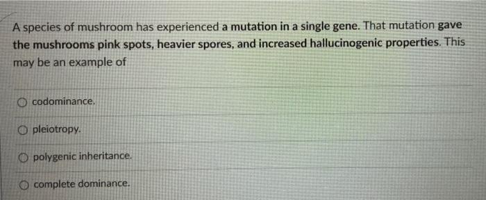 Solved A species of mushroom has experienced a mutation in a | Chegg.com