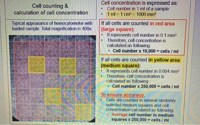 Solved Lab 00 Report Questions: 1. Does cell concentration | Chegg.com
