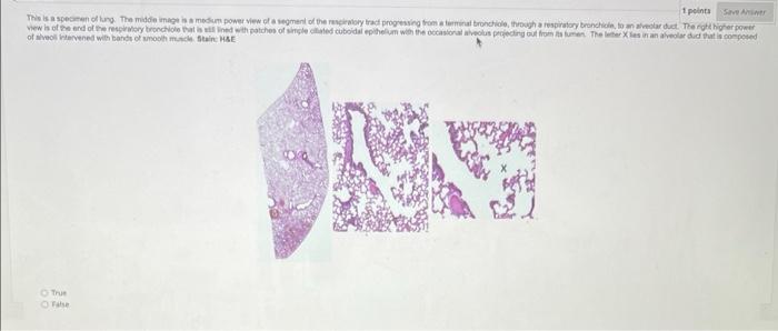 of theol hievened with bandt of mooth matal stain | Chegg.com