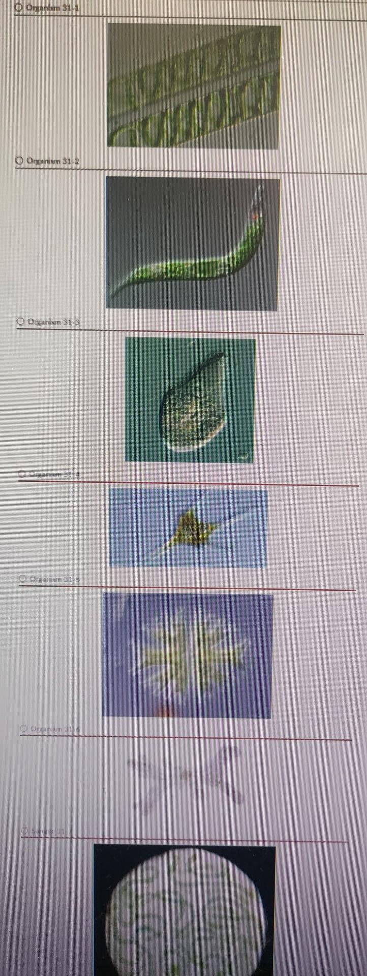 1) What are the similarities and differences between | Chegg.com