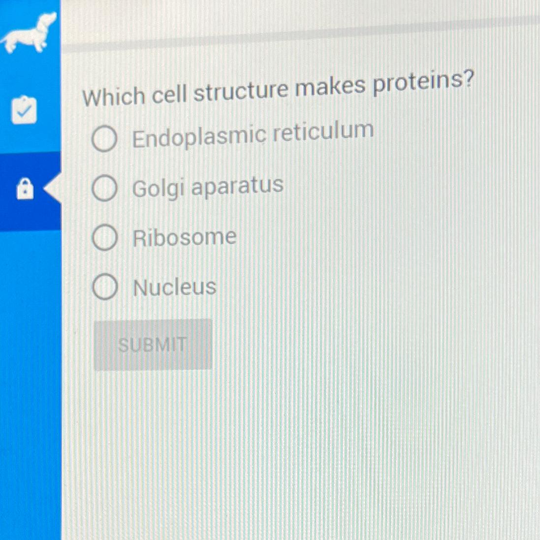 Solved Which cell structure makes proteins?Endoplasmic | Chegg.com