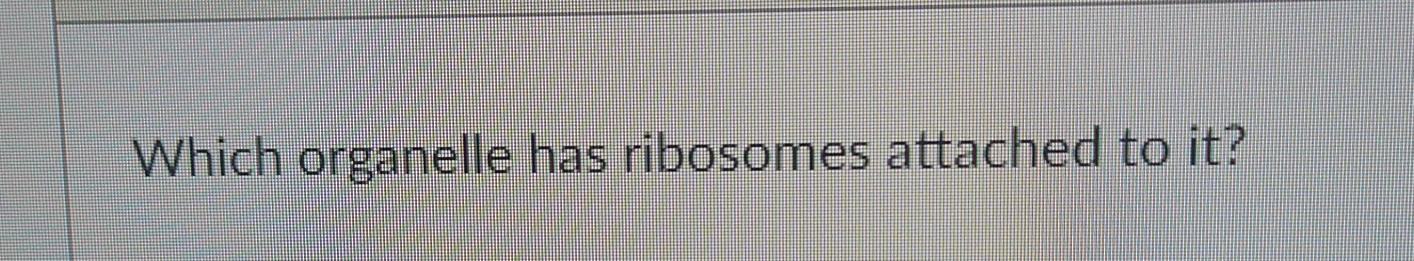 Solved Which organelle has ribosomes attached to it? | Chegg.com