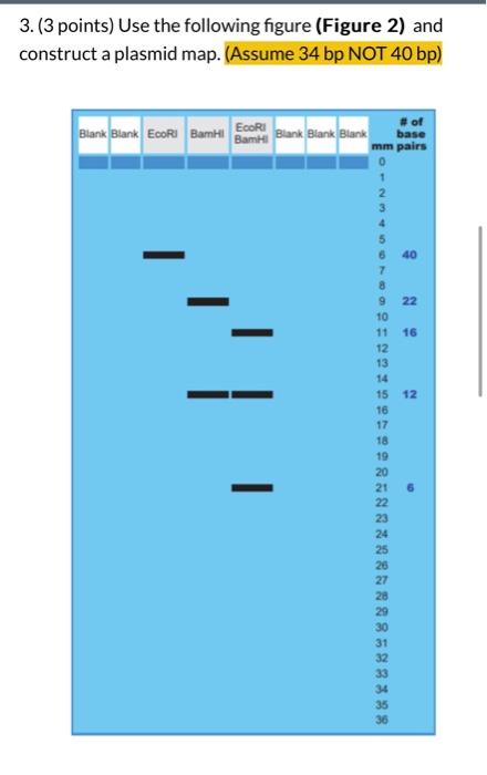 Solved 3. (3 points) Use the following figure (Figure 2 ) | Chegg.com