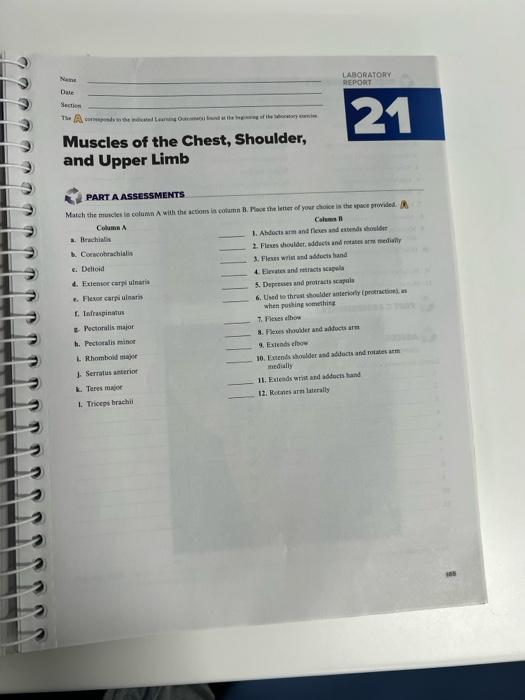 Solved Name Date Section The A corresponds to the indicated | Chegg.com