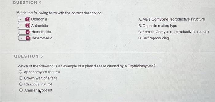 Solved QUESTION 4 Match the following term with the correct | Chegg.com