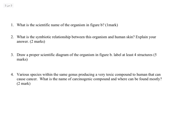 Solved Students name: Name: Part 1A: After attending the | Chegg.com