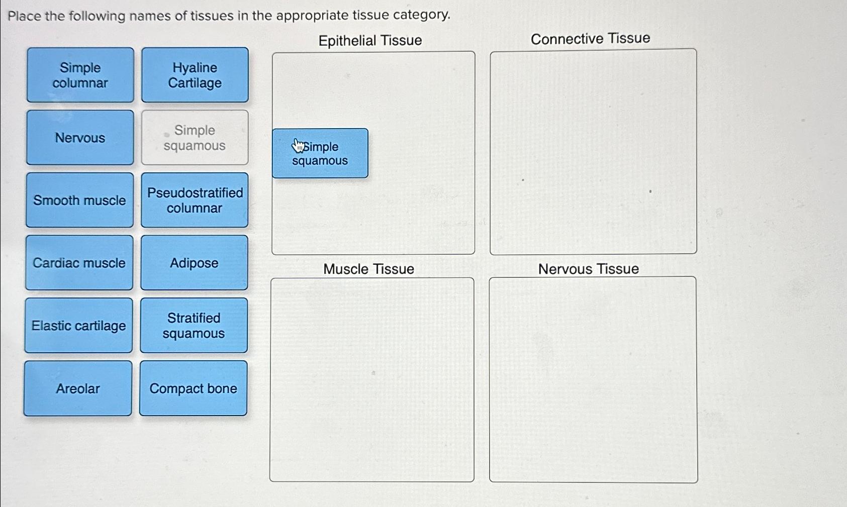 Solved Place the following names of tissues in the | Chegg.com