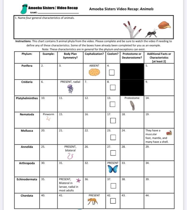 Solved Amoeba Sisters | Video Recan Amoeba Sisters Video | Chegg.com