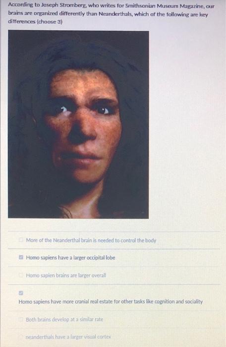 According to Joseph Stromberg, who writes for | Chegg.com