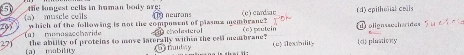 Solved 25) neurons the longest cells in human body are: (a) | Chegg.com