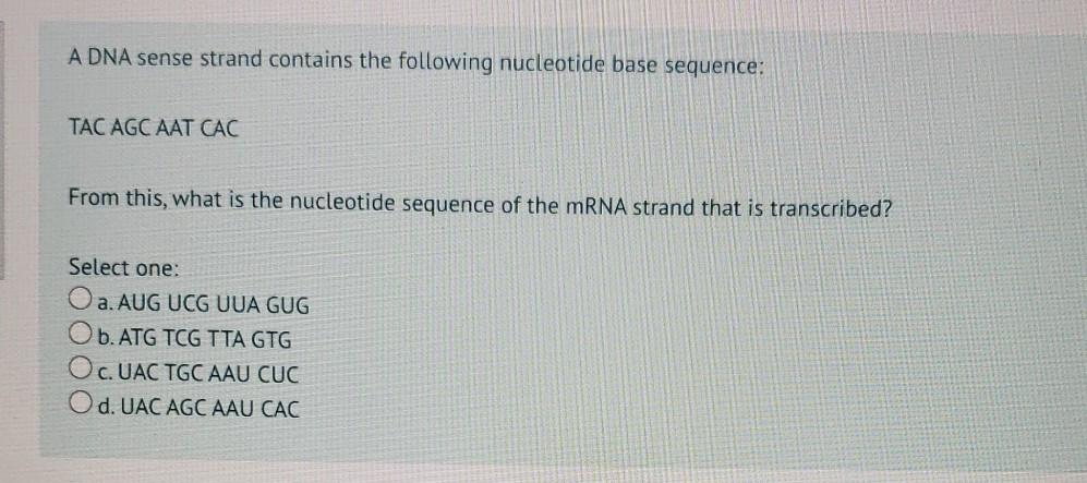 Solved A DNA antisense strand contains the following | Chegg.com