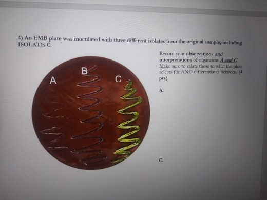 Solved 4) An EMB plate was inoculated with three different | Chegg.com