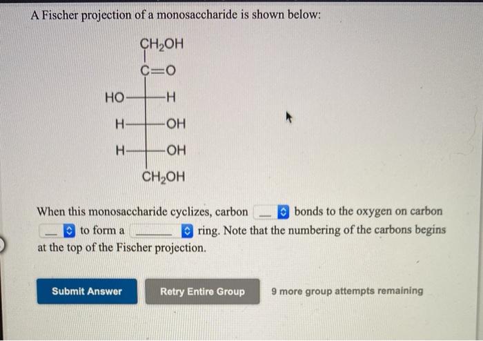 Solved A Fischer projection of a monosaccharide is shown | Chegg.com