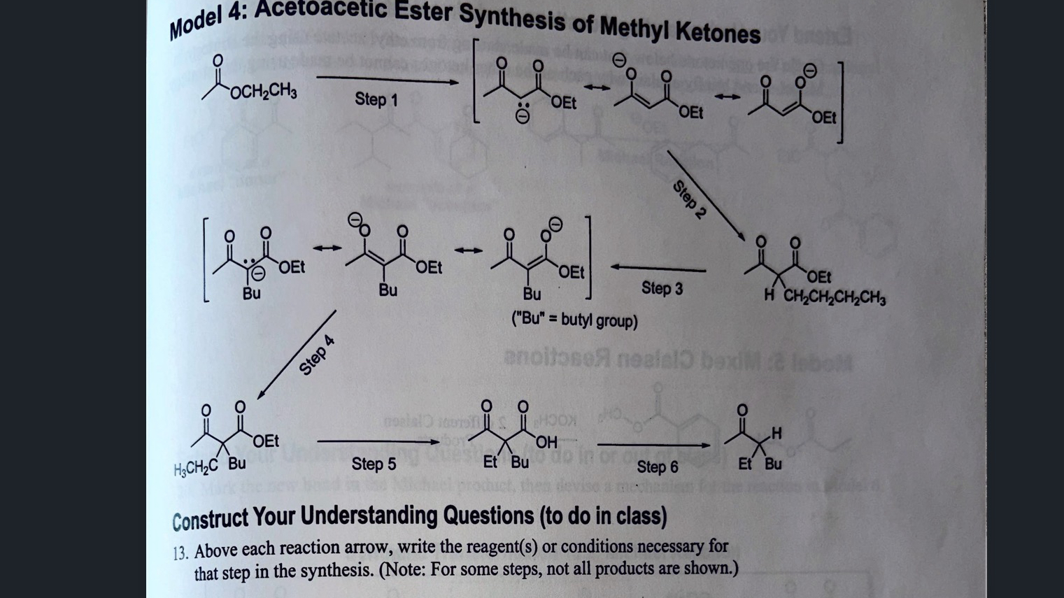 Solved Model 4: Acetoacetic Ester Synthesis of Methyl | Chegg.com