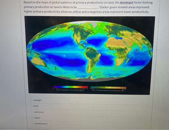 Solved Based on the maps of global patterns of primary | Chegg.com