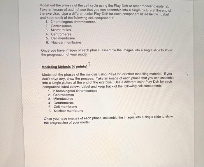 Solved Model out the phases of the cell cycle using the | Chegg.com