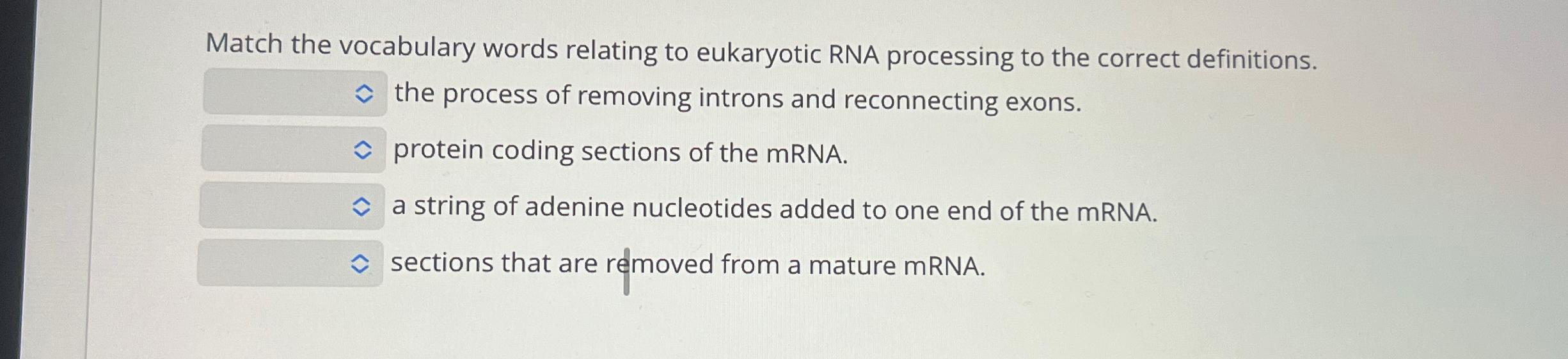 Solved Match the vocabulary words relating to eukaryotic RNA | Chegg.com