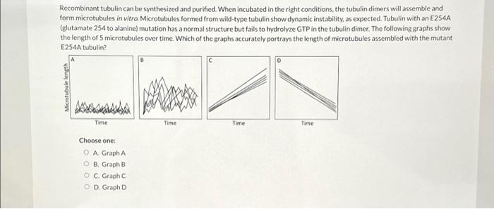 Solved Recombinant tubulin can be synthesized and purified. | Chegg.com