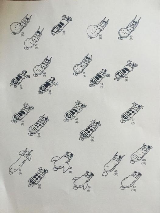 Exercise 4. Fossil Reconstruction of Caminalcules | Chegg.com