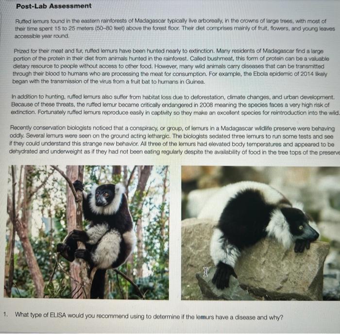 Solved Post-Lab Assessment Ruffed lemurs found in the | Chegg.com