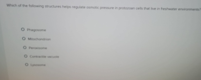 Solved Which of the following structures helps regulate | Chegg.com