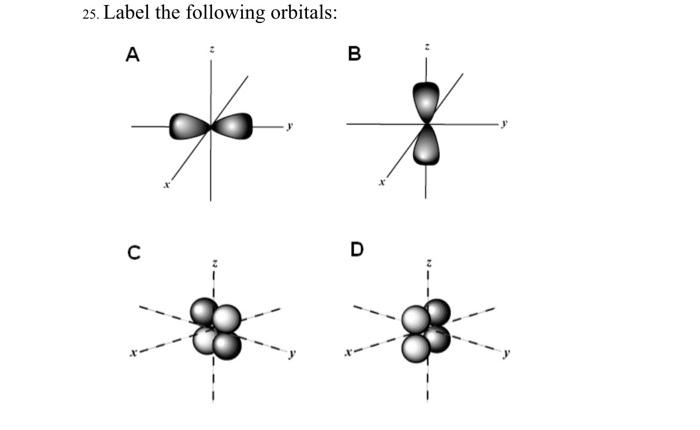 Solved 25. Label the following orbitals: | Chegg.com