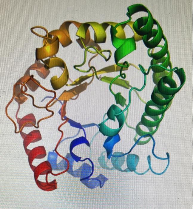 Solved Clearly identify and label, Alpha Helix, beta sheet, | Chegg.com