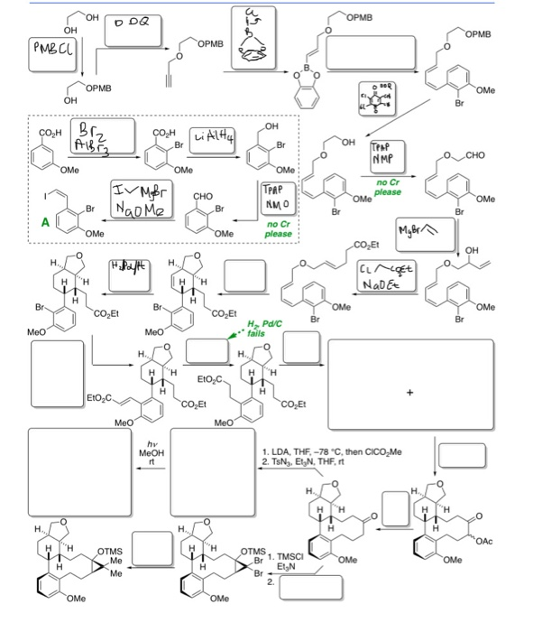 Solved OPMB PMBCL OPMB OPMB OME OH COH Вг. ALU NMP CHO OMO | Chegg.com