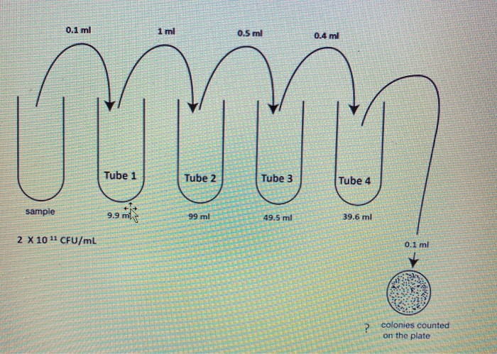 Solved 15) (6 points) The original cell density in the | Chegg.com