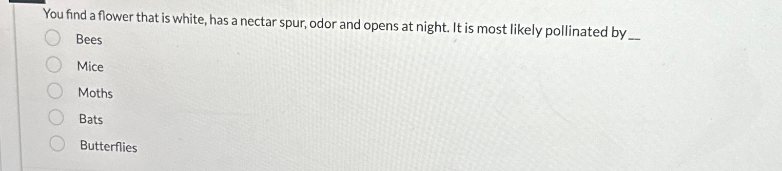 Solved You find a flower that is white, has a nectar spur, | Chegg.com