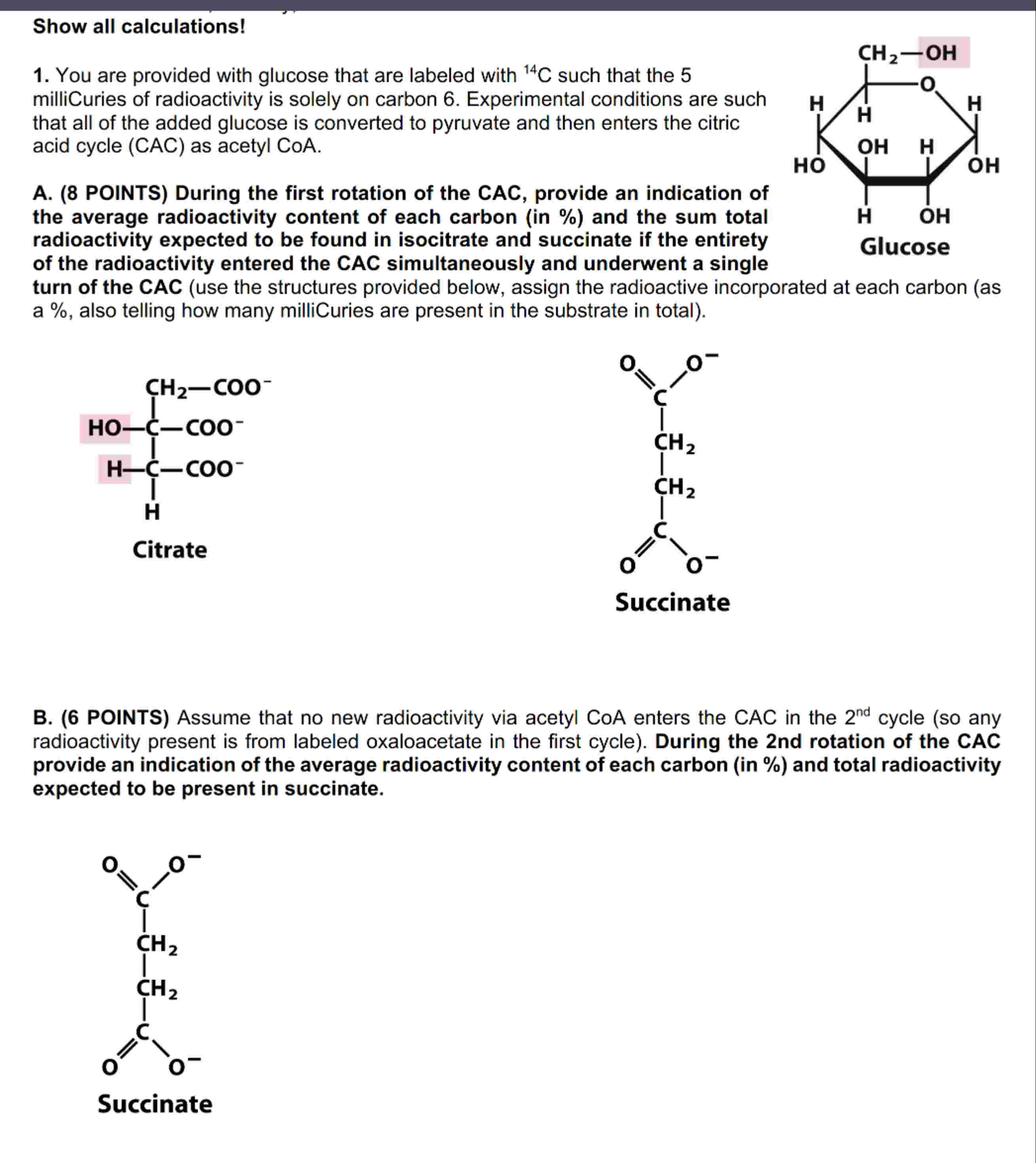 Solved B. (6 ﻿POINTS) ﻿Assume that no new radioactivity via | Chegg.com