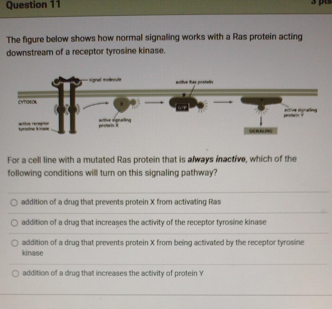 Solved The figure below shows how normal signaling works | Chegg.com